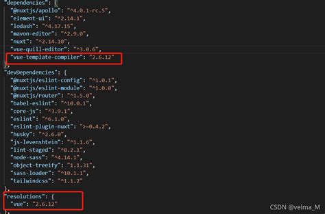 Vue Packages Version Mismatch 版本不对vuer Version 和 Package 版本号不一致 那个是对的