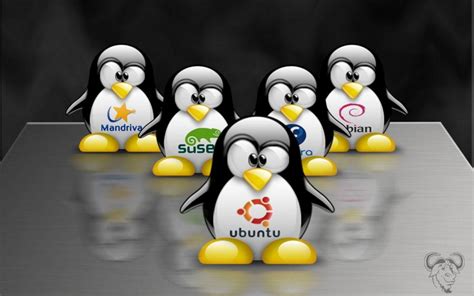 Computer Operating System Penguin