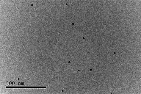Python How To Label And Measure Size Of Blobs Stack Overflow