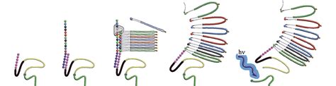 Roche Unveils Completely New Sequencing Approach European
