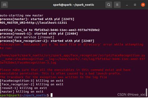 【踩坑记录】launch文件中添加python文件时碰到的问题rlexception Roslaunch Got A No Such File Or Dire Csdn博客
