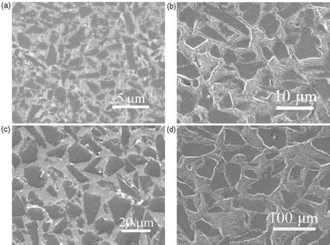 Composite Microstructure With Different Particle Sizes A 3 M M B