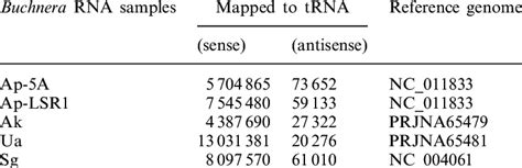 Total Reads Mapping Per Sample From Illumina Directional Rnaseq
