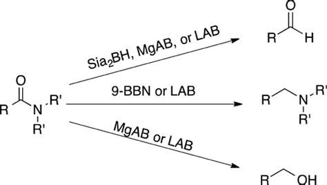 Amides Vs Amines