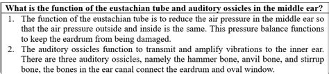 What Is The Function Of The Eustachian Tube And Auditory Ossicles In