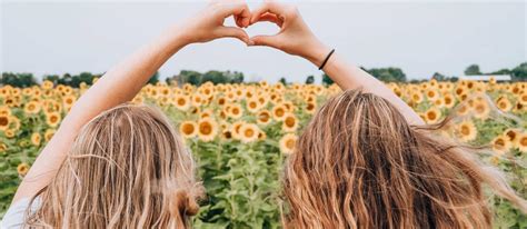 Interpersonal Attraction In Social Psychology Determinants Of Interpersonal Attraction By