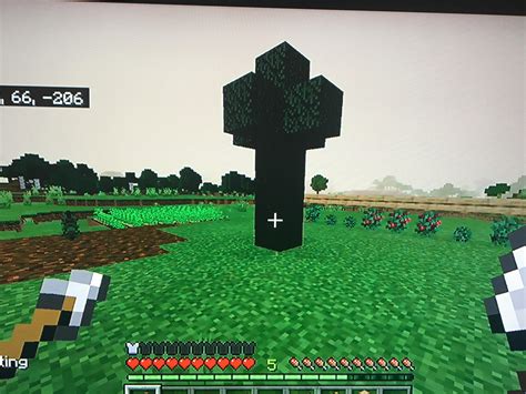 Since When Does A Tree Grow Like That R Minecraft
