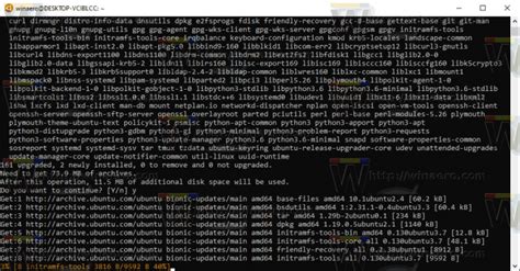 Update And Upgrade WSL Linux Distro In Windows 10