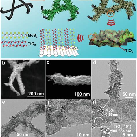 A Illustration Of The Synthesis Of Cnt‐mos2 Tio2‐c Hybrids B‐c Sem