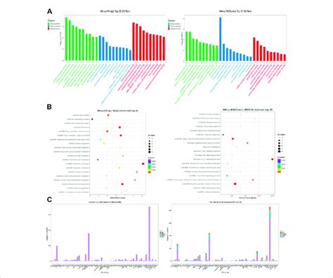 Go Term And Kegg Pathway Enrichment Analyses Of Degs A Go Download Scientific Diagram