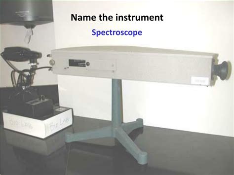 Ppt College Of The Canyons Biology 107 Practice Lab Final Powerpoint