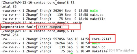 核心转储core Dumpdumpfile倍福plc Csdn博客 核心转储core Dumpdumpfile倍福plc Csdn博客
