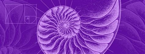 the algorithmic advantage human enhances decision engine with ai