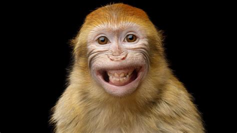 Worlds Longest Arm Hair