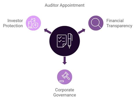 aarushi rathor on linkedin challenge auditors corporatetransparency