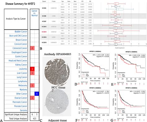 Preliminary Screen Of Hcc Biomarkers A B Dysregulated Expression Of