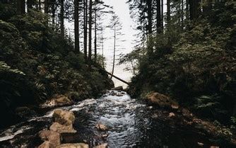 Debugging Java Streams With IntelliJ