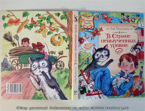 Обзор детских книг: В Стране невыученных уроков, сказочная повесть