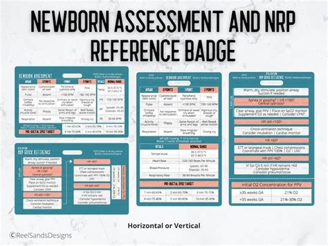 Newborn Assessment Nrp Quick Reference Badge Buddy Card Nursing Id
