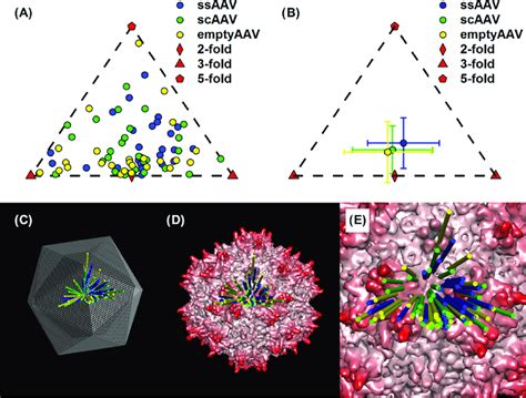 Particle Orientation Distributions From Aav Adsorbed On Hopg A Download Scientific Diagram