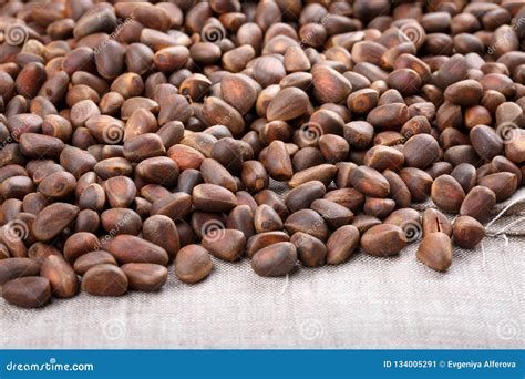 Pine Nuts In The Shell Stock Image Image Of Backdrop 134005291