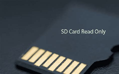 What Is An SD Card Robots Net