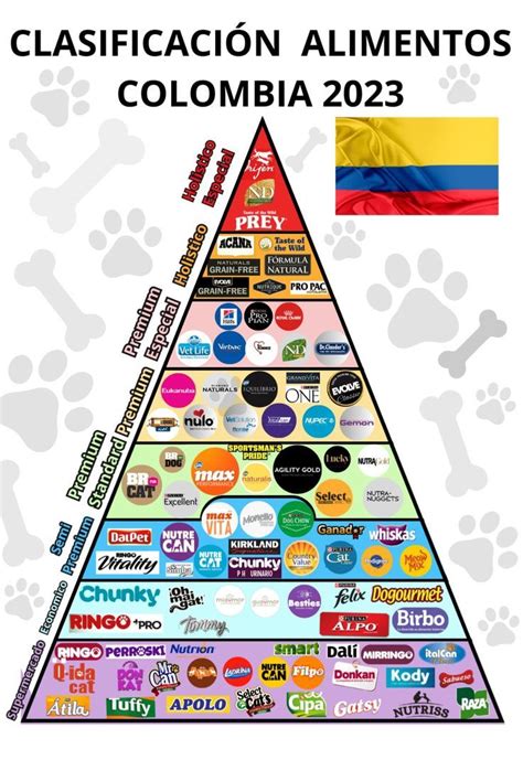 Pirámide Alimenticia Para Perros Y Gatos Piramide Nutricional