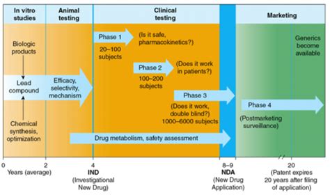 Drug Approval Process Flashcards Quizlet