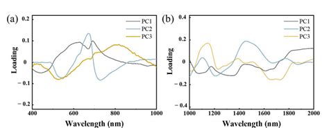 The Loading Plots Of Pc1 Pc2 And Pc3 In The Range Of A 400 1000 Nm