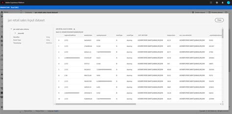 preview the retail sales schema and dataset adobe experience platform