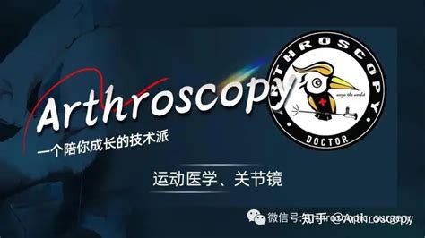 手术基础｜踝关节韧带解剖 Anatomy Of The Ankle Ligaments 知乎