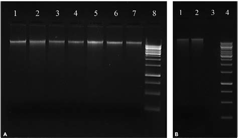 Figure 1 From Pseudomonas Specific 16s Rrna Insect Gut Microbiome