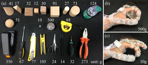 A Objects Used In The Test Of Grasping Ability The White Numbers In Download Scientific