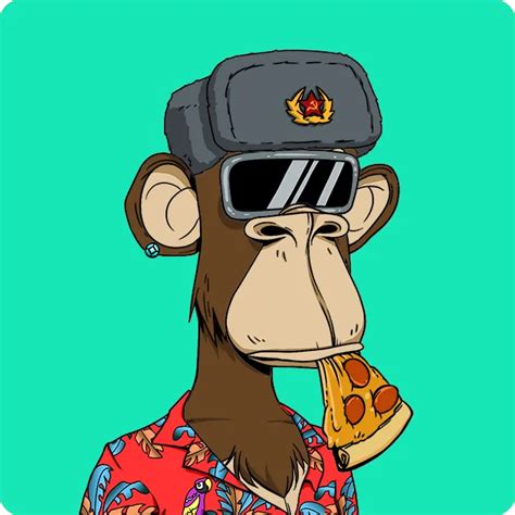 What Are Pfp Nfts And Do You Really “own” Your Nft Blockmagic