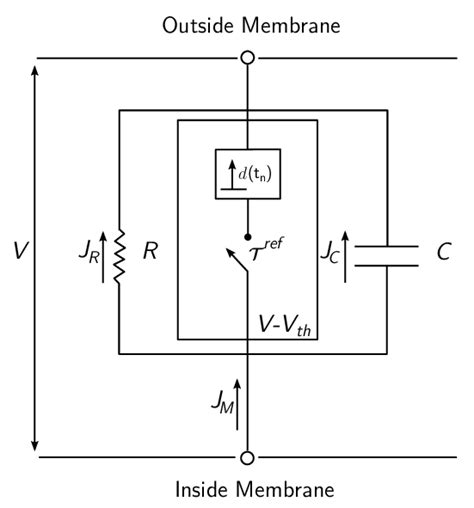 2 Circuit Diagram That Corresponds To The Leaky Integrate And Fire