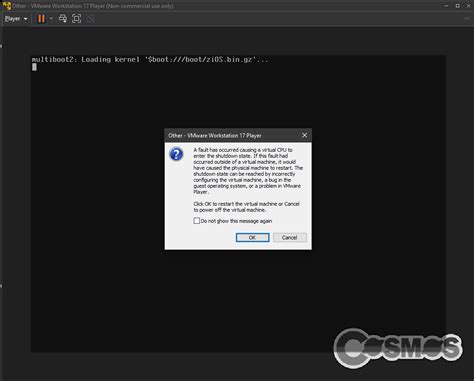 Limine Crashses By Holding Any Key Before The Cosmos Layer Starts Issue CosmosOS