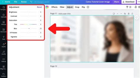 How To Blur The Background Of Photos Using Canva Blogging Guide