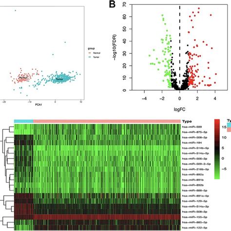 screening of the de mirnas a pca plot of the expression profile of