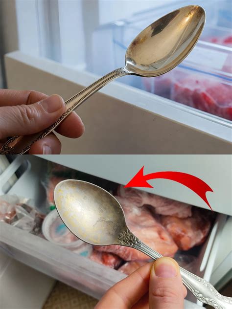 Fun ვერასდროს გამოიცნობ რატომ ინახავს ჩემი მეზობელი კოვზს საყინულეში… უცნაურ ხრიკად შეიძლება