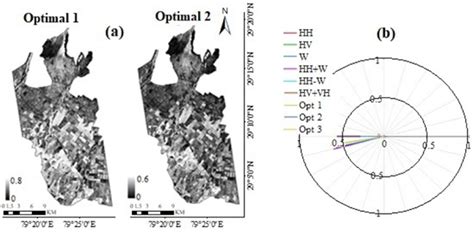 Complex Coherence Generated With Different Polarizations A And Polar