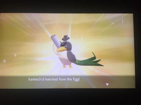 [8] Second Shiny Galarian Farfetchd In A Total Of 2467 Eggs Last Two Hunts Have Been A