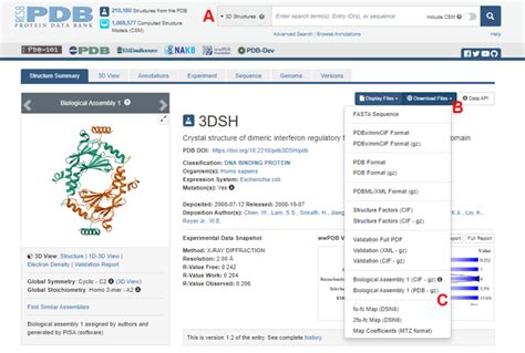 Video Author Spotlight A Computational Approach To Decipher Amino Acid Preferences In