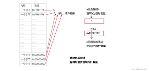 C语言指针初级 Csdn博客