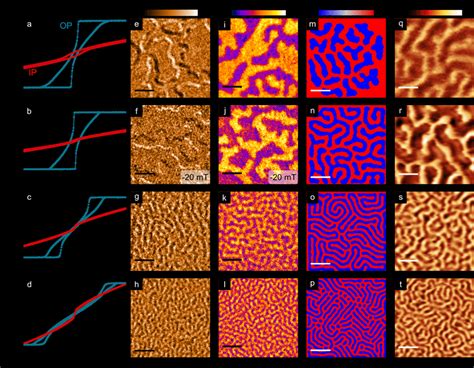 Figure S2 Overview Of Magnetometry And Magnetic Imaging A D Download Scientific Diagram