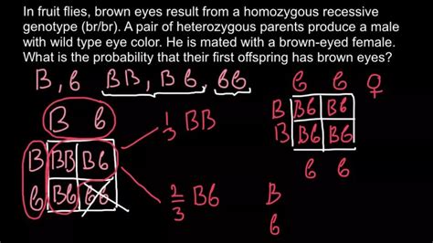 Nikolays Genetics Lessons On Linkedin Nikolays Genetics Lessons