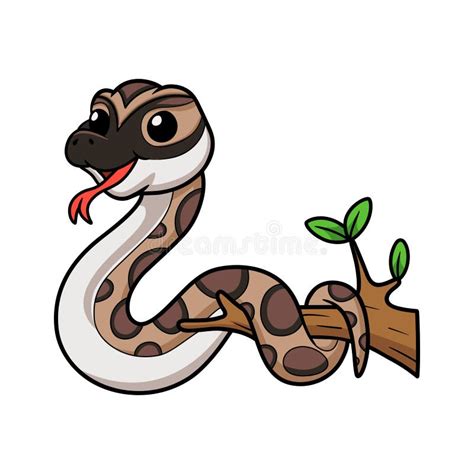 Python Molurus Stock Illustrations 42 Python Molurus Stock Illustrations Vectors And Clipart