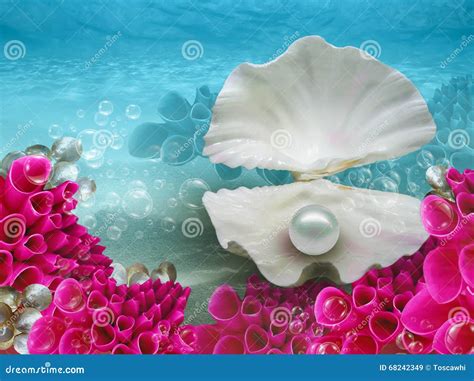 Pearly Shell Coral Water Background Stock Image Image Of Mother