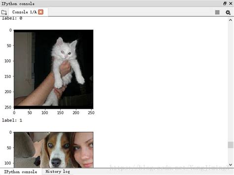Tensorflow 图像分类任务中读取自己的图片并添加标签 灰信网（软件开发博客聚合）