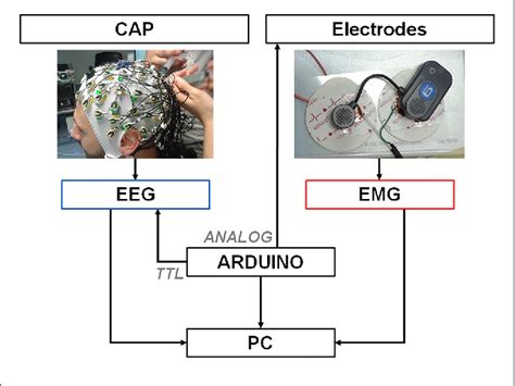 Figure 2 From Effective Synchronization Of Eeg And Emg For Mobile Brainbody Imaging In Clinical