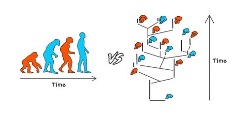 Genetic Algorithms For Beginners